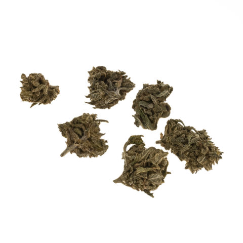 CBD Blüten schnell, diskret & günstig kaufen